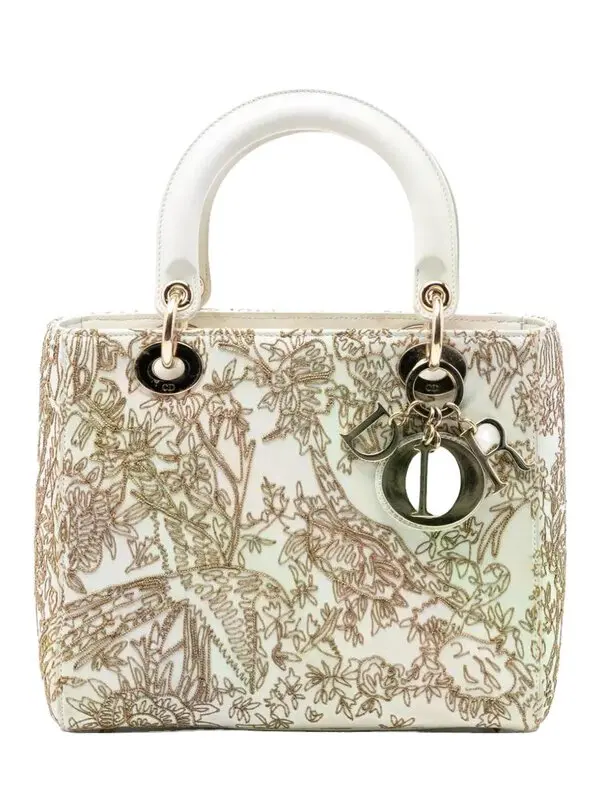 Dior 2022 Medium Embroidered Jardin D Hiver Lady Satchel - White