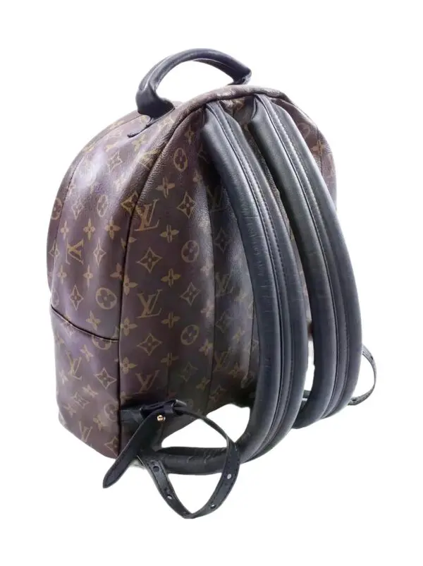 LOUIS VUITTON Monogram Palm Springs Backpack - Brown