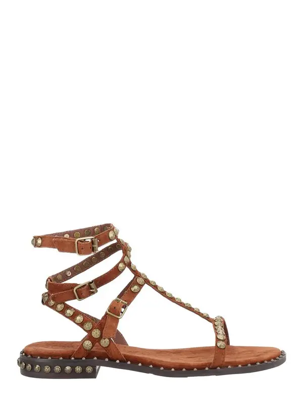 Ash Studded Gladiator Sandals - Brown