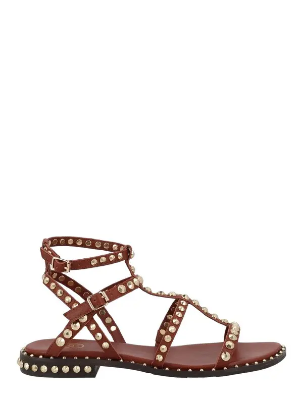 Ash Gladiator Sandals - Brown