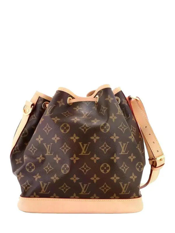 LOUIS VUITTON Petit Noe Nm Handbag Monogram Canvas Bucket Bag - Brown