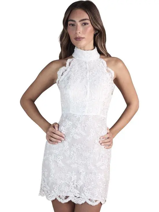 Coast High Neck Embroidered Mesh Mini Dress - Ivory