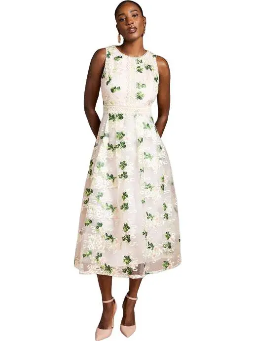 Coast Embroidered Mesh Lace Midi Dress - Blush