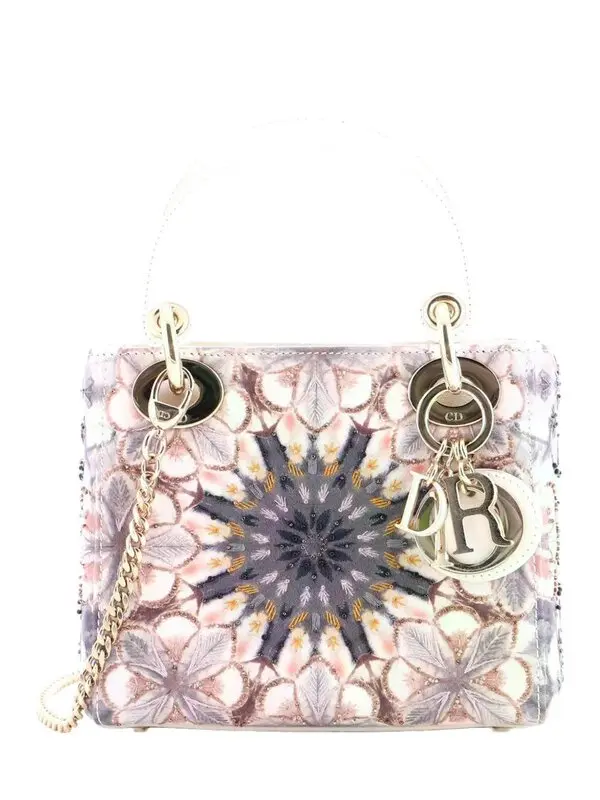 Dior Lady Chain Bag Embroidered Calfskin Mini Satchel - Multicolour