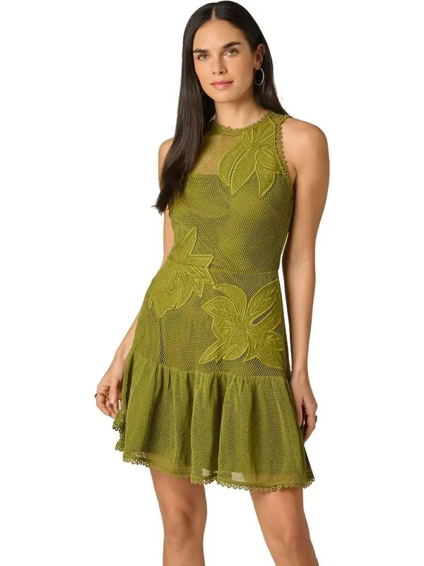 Adrianna Papell Cotton Mesh Floral Short Dress - Dark Moss