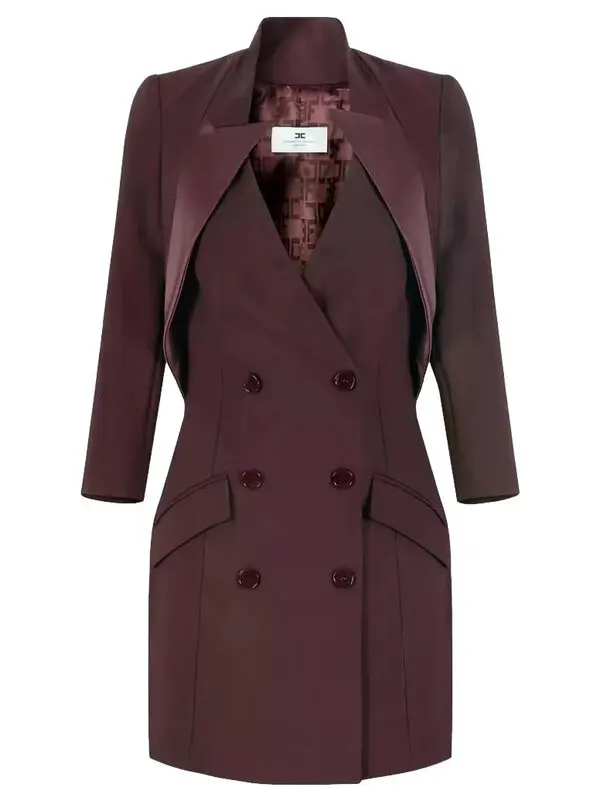 Elisabetta Franchi Double-breasted Mini Dress - Brown