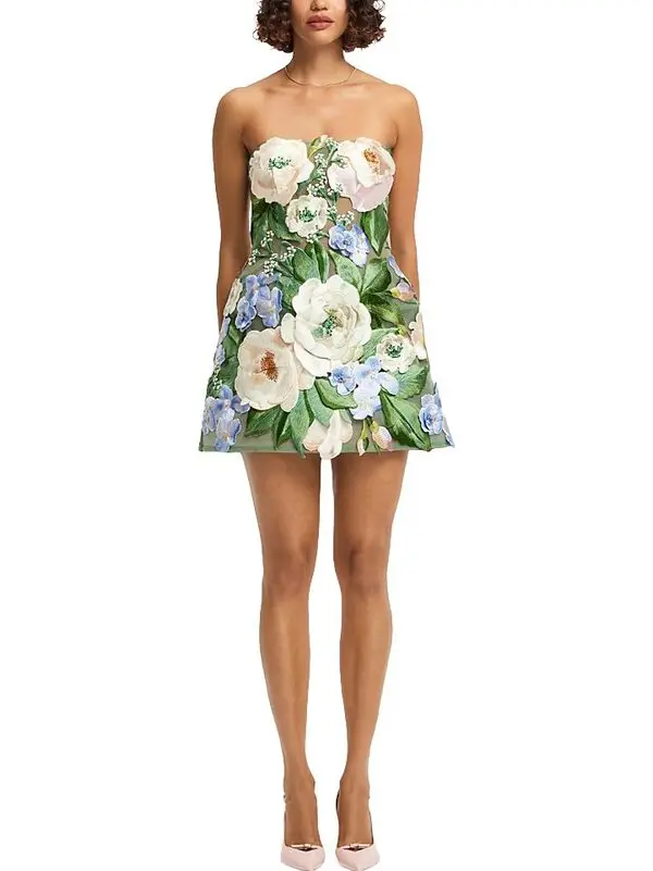 LEO LIN Roselle Floral Embroidered Mini Bustier Dress - Blossom