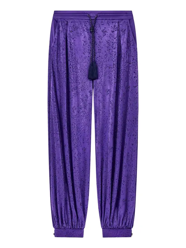 Giorgio Armani Viscose Jersey Trousers With Rhinestones - Purple