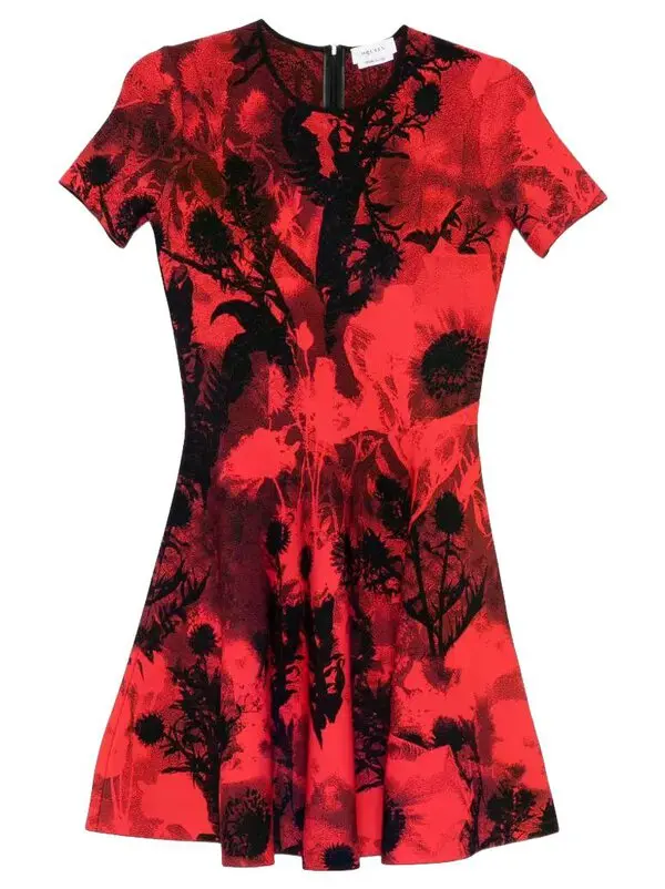Alexander McQueen Crew-neck Mini Dress - Red