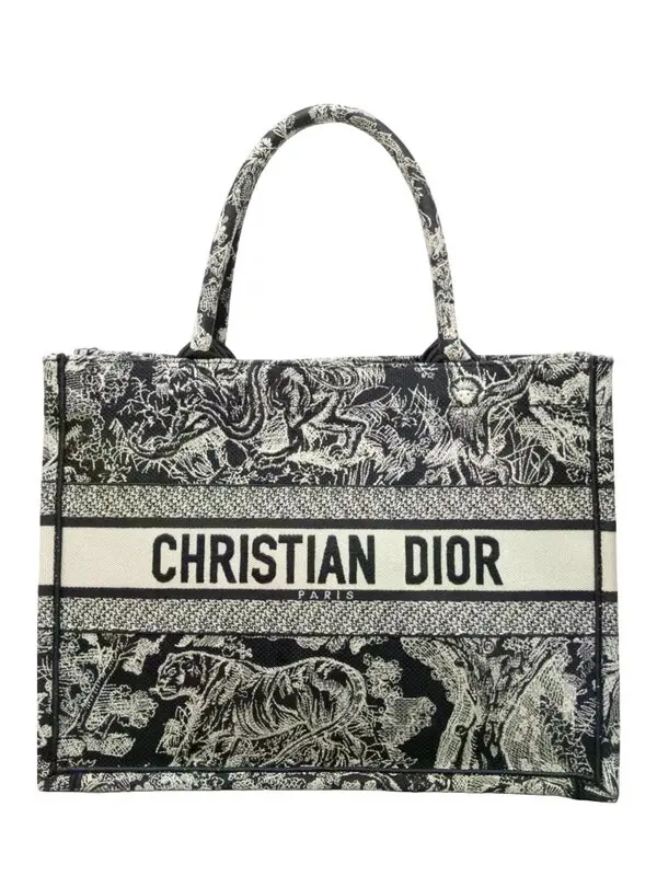 Dior Medium Toile De Jouy Book Tote Bag - Blue