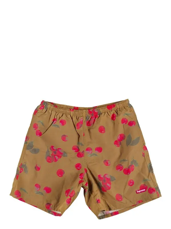 Supreme Nylon Water Shorts - Brown