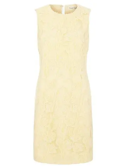 PHASE EIGHT Bryony Lace-embroidered Woven Mini Dress - Pale Yellow