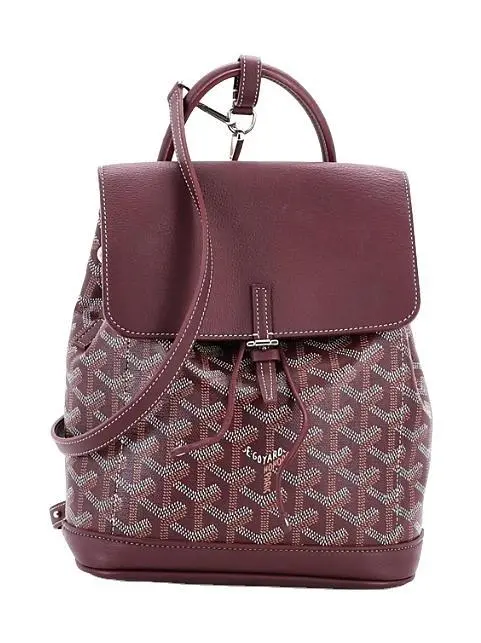 Goyard Alpin Backpack Coated Canvas - Red