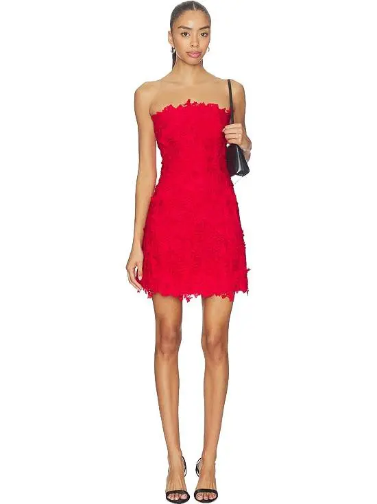 Generation Love 3d Lace Mini Dress - Cherry