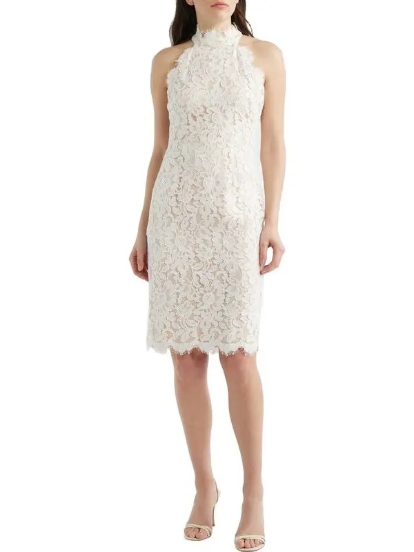 Eliza J Floral Lace Sleeveless Sheath Dress - Ivory Beig