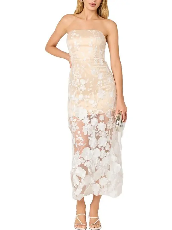 Astr The Label Tanisha 3d Floral Appliqué Semi Sheer Midi Dress - White