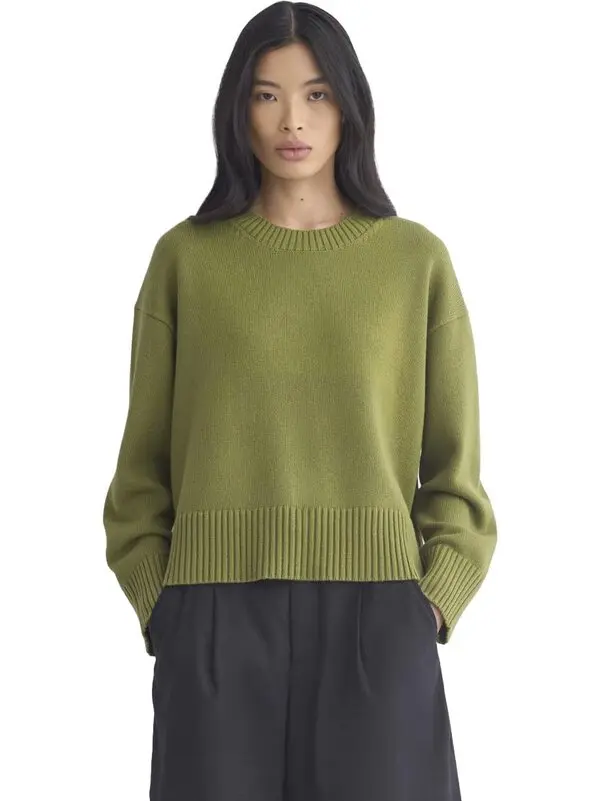 Everlane Boxy Cotton Sweater - Mayfly
