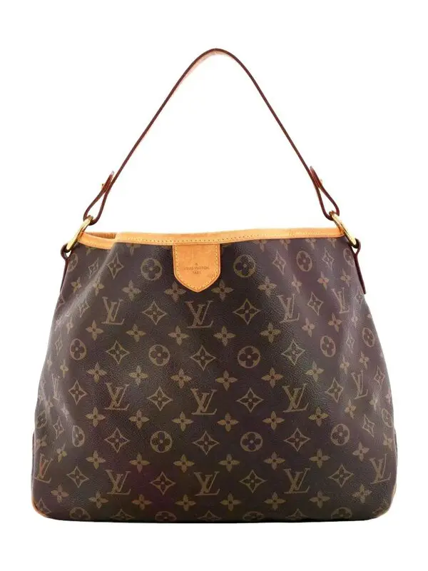 LOUIS VUITTON Delightful Handbag Monogram Canvas Pm Hobo Bag - Brown