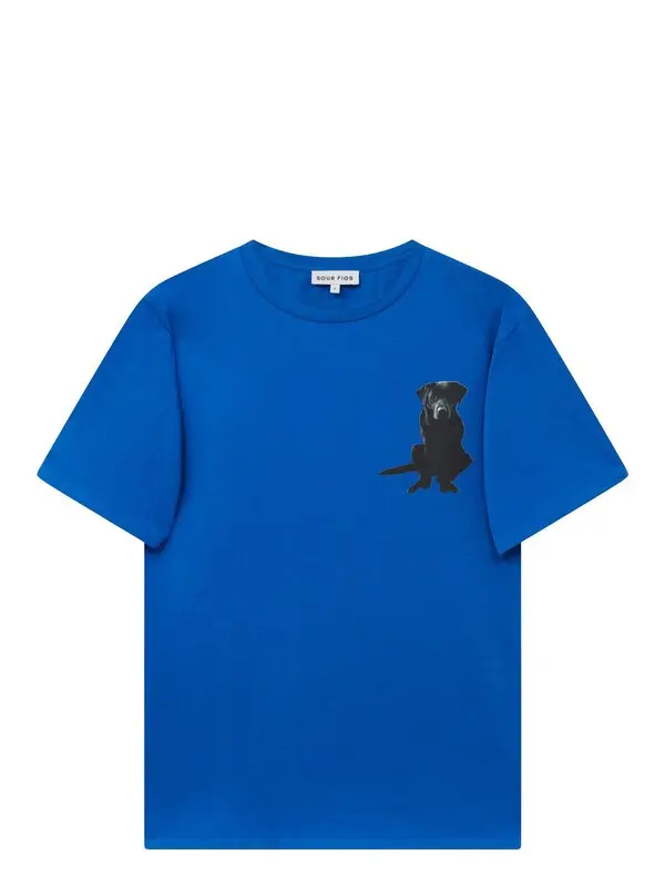 SOUR FIGS Labrador T-shirt - Blue