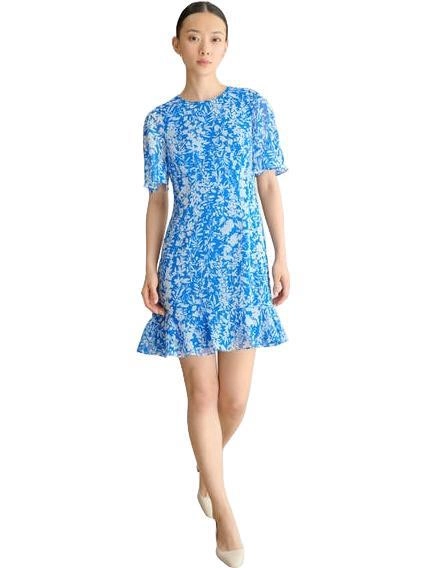 HOBBS LONDON Iona Floral Print Mini Dress - Blueivory