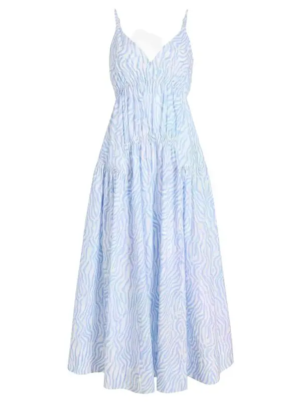 Proenza Schouler White Label Michelyn Zebra-print Maxi Dress - Blue