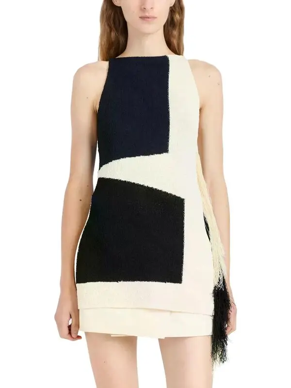 Proenza Schouler Saskia Fringe-trimmed Intarsia-knit Top - Neutrals