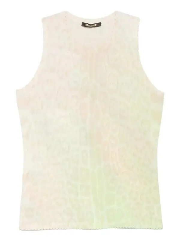 Roberto Cavalli 2000s Leopard-print Tank Top - Neutrals