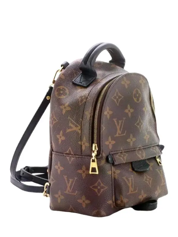 LOUIS VUITTON Palm Springs Monogram Canvas Mini Backpack - Brown