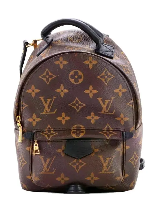 LOUIS VUITTON Palm Springs Monogram Canvas Mini Backpack - Brown