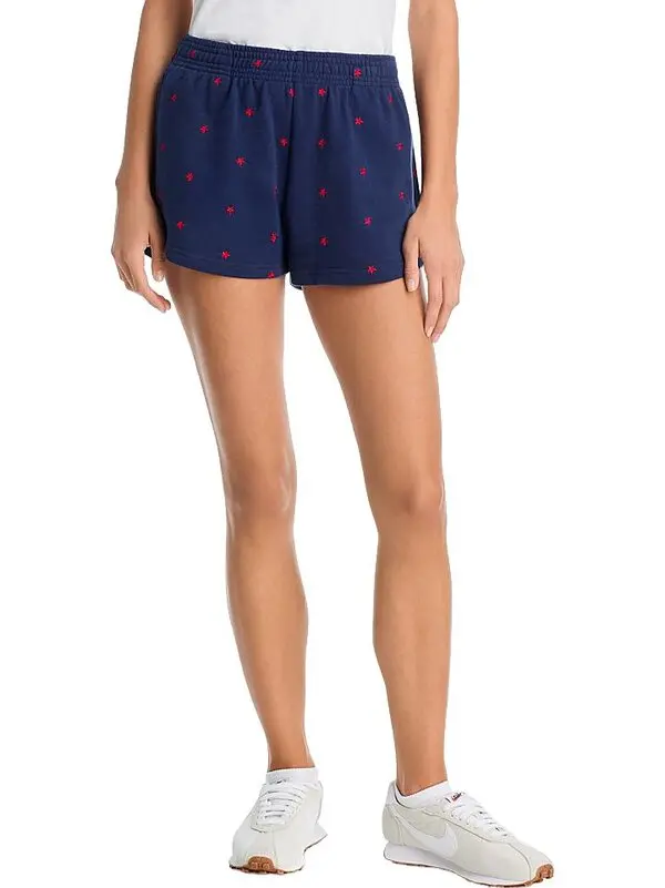 Beach Riot Malik Star Shorts - Star Spangled Seas