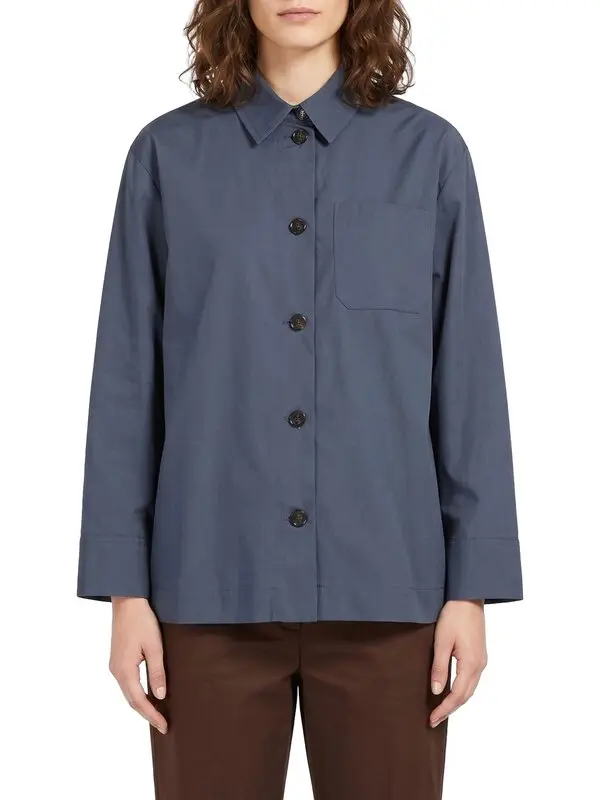 Max Mara Classic Collar Shirt - Blue