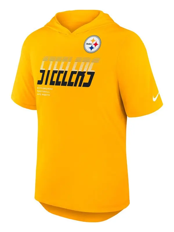 Nike Pittsburgh Steelers Dri-fit Nfl Hooded T-shirt - Brown