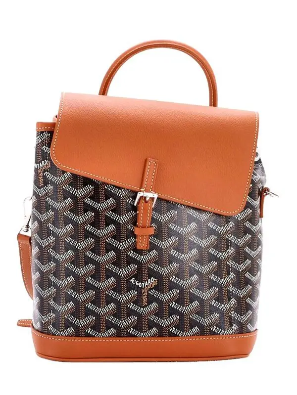 Goyard Alpin Backpack Coated Canvas - Brown