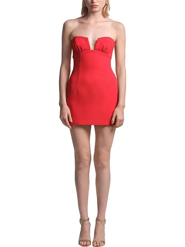 Bcbgmaxazria Ramone Mini Dress - Flame