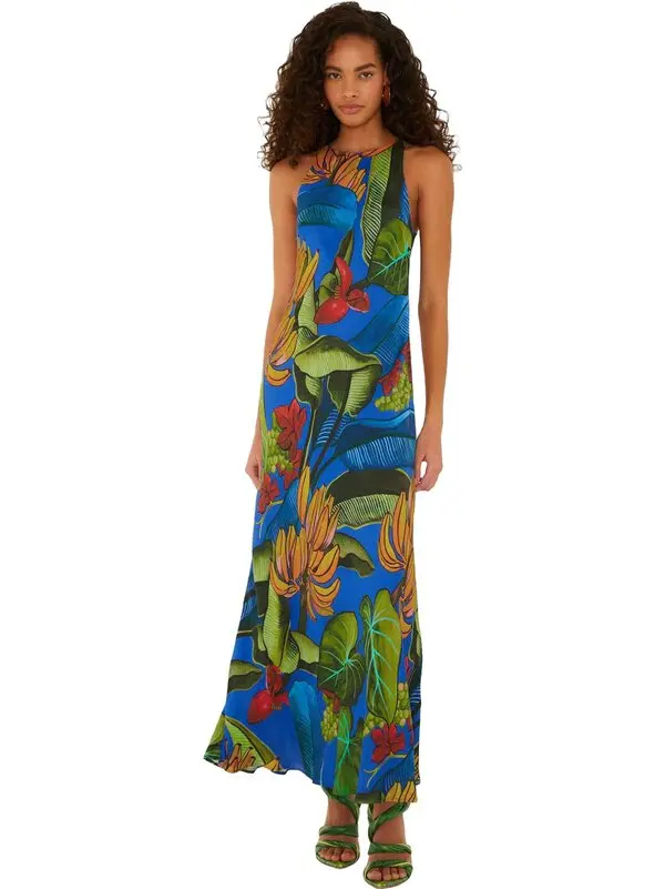Farm Rio Sleeveless Maxi Dress With Tropical Print - Banana Grapes Blue