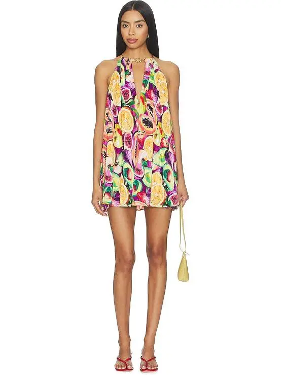 Show Me Your Mumu Lucille Mini Dress - Fruit
