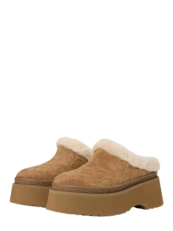 COACH Cecelia Clog In Signature Suede With Shearling Lining - Brown