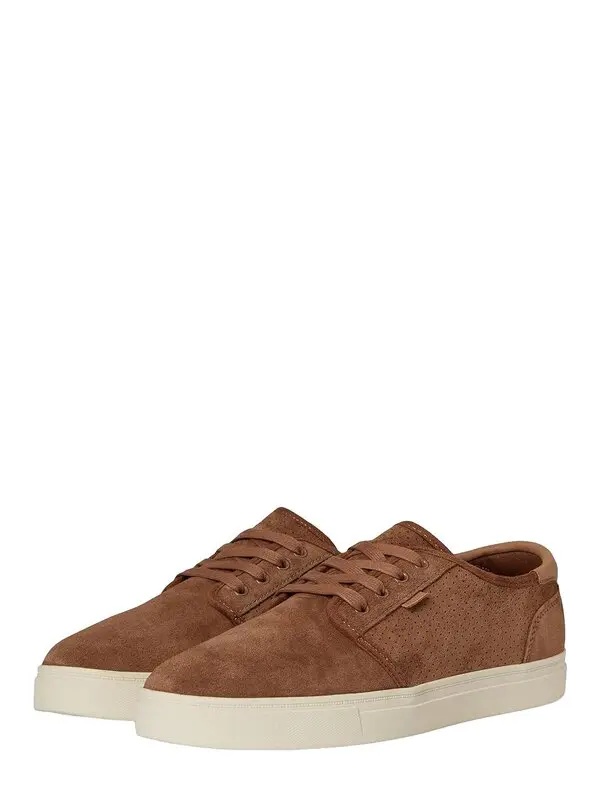 Toms Carlo 2.0 Lace-up Casual Sneakers - Brown