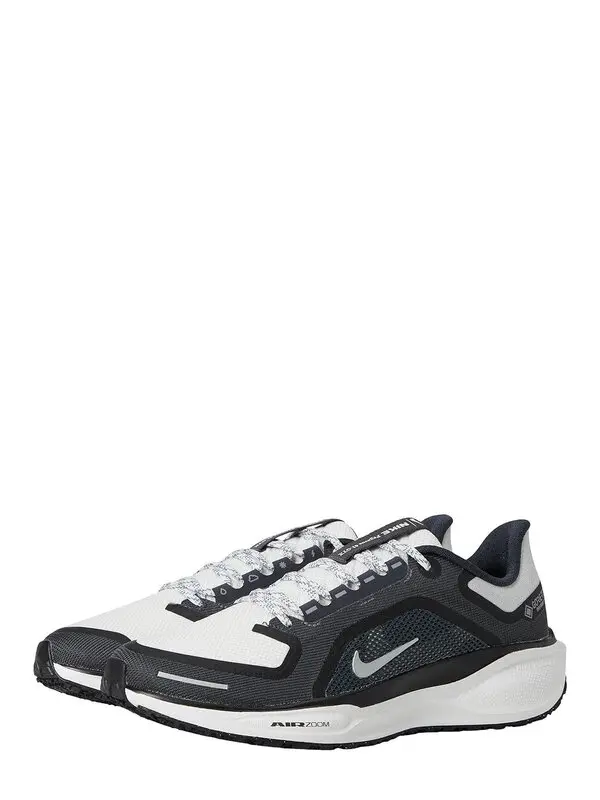 Nike Pegasus 41 Gore-tex Athletic Shoes - Gray