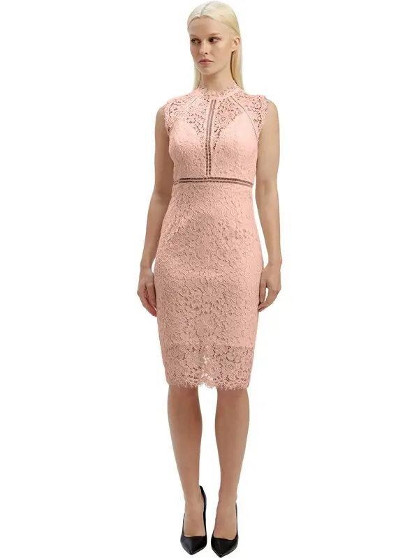 Bardot Lace Paneled Knee Length Dress - Pale Blush