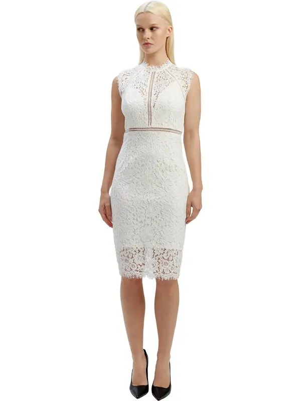 Bardot Lace Panel High Neck Knee Length Dress - Orchid Wht