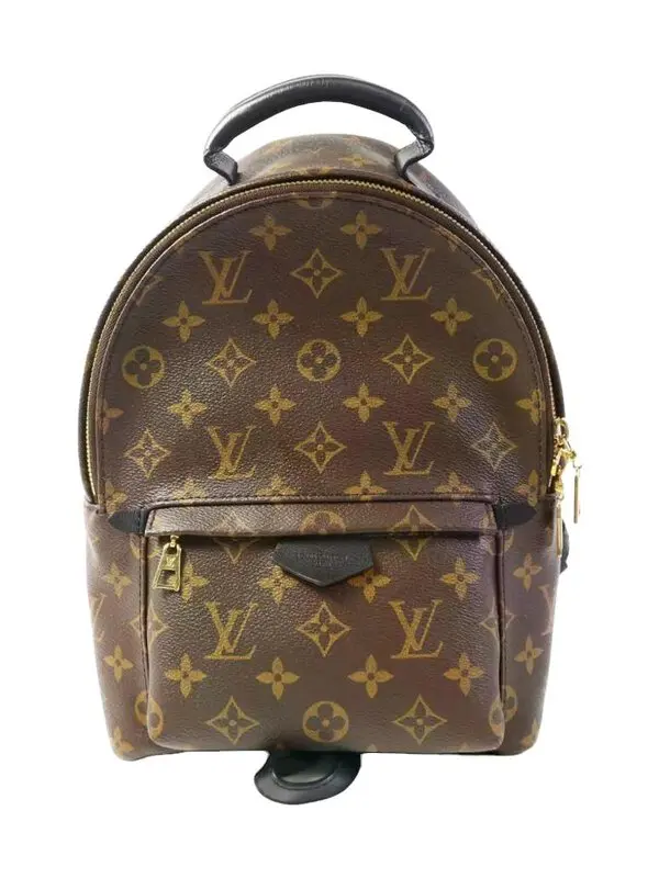 LOUIS VUITTON Palm Springs Backpack - Brown