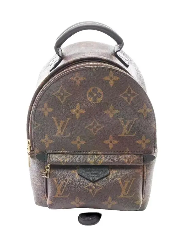 LOUIS VUITTON Palm Springs Mini Backpack - Brown
