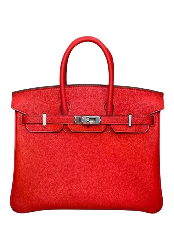 Hermès Birkin 25 Togo Handbag - Red