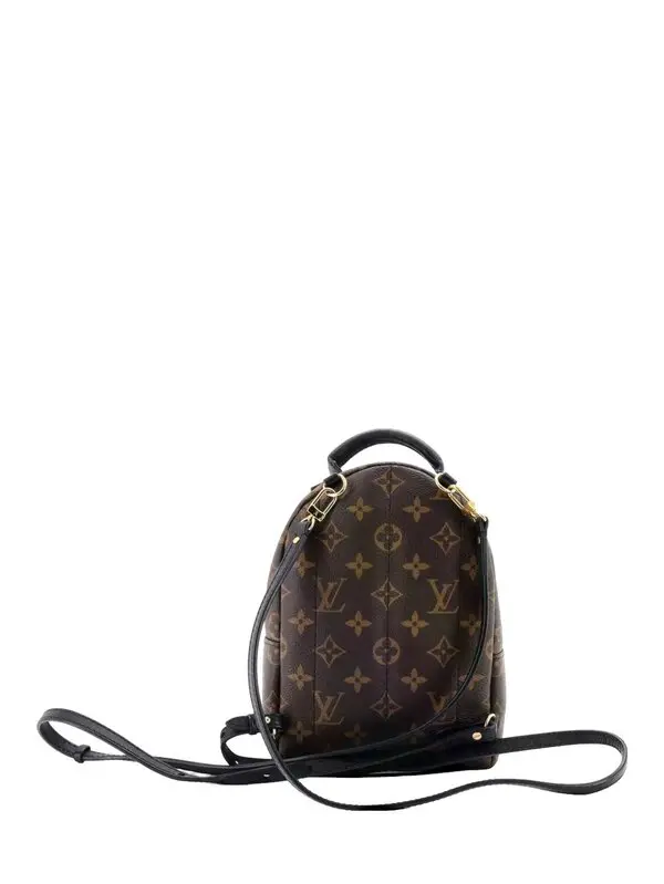 LOUIS VUITTON Palm Springs Monogram Canvas Mini Backpack - Brown