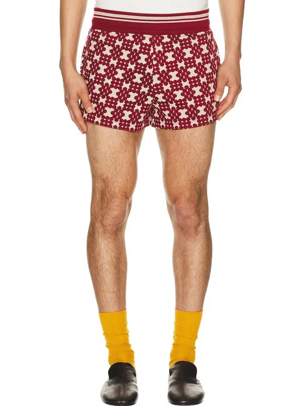 Dries Van Noten Hegg Shorts - Burgundy