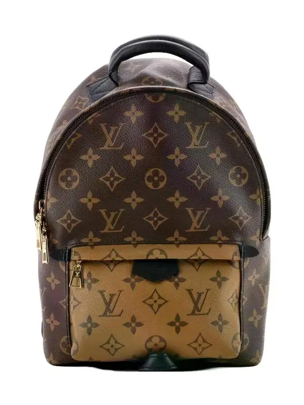 LOUIS VUITTON Palm Springs Reverse Monogram Canvas Pm Backpack - Brown