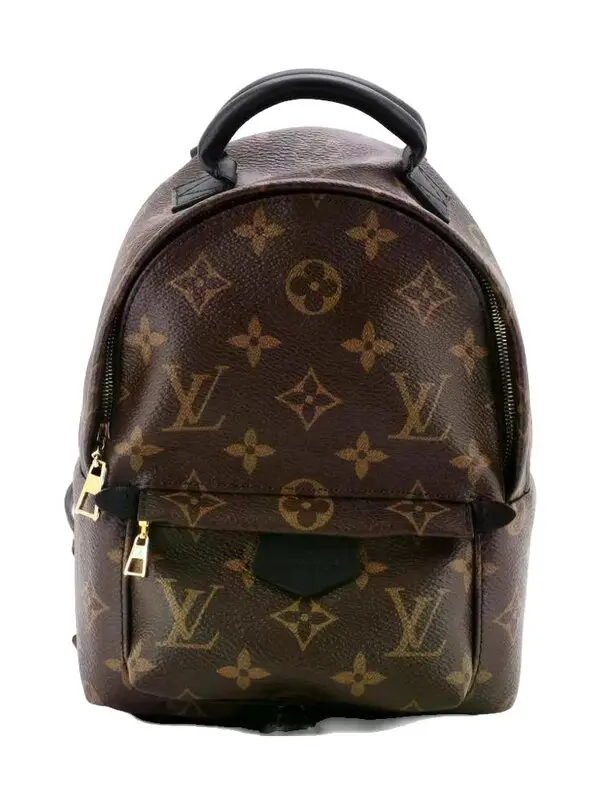 LOUIS VUITTON Palm Springs Monogram Canvas Mini Backpack - Brown