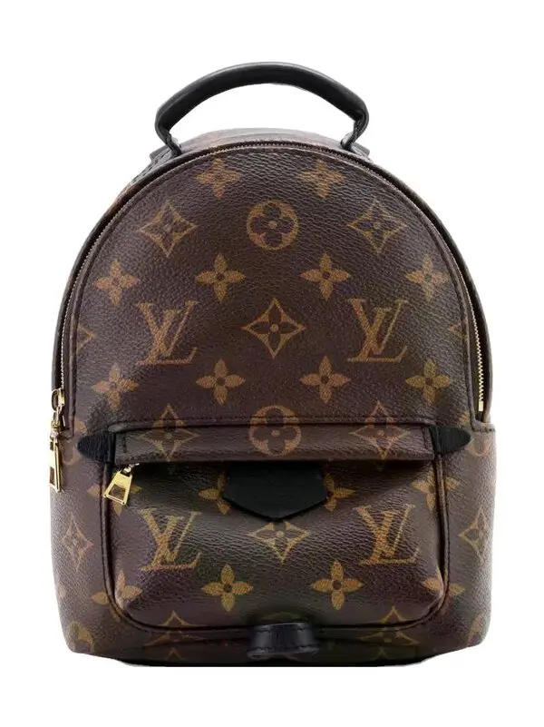 LOUIS VUITTON Palm Springs Monogram Canvas Mini Backpack - Brown