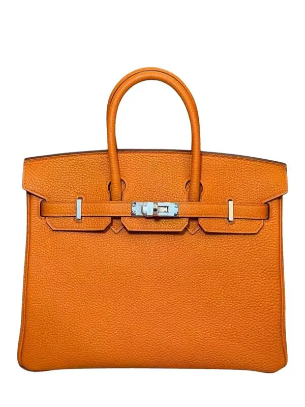 Hermès Birkin 25 Togo Handbag - Orange